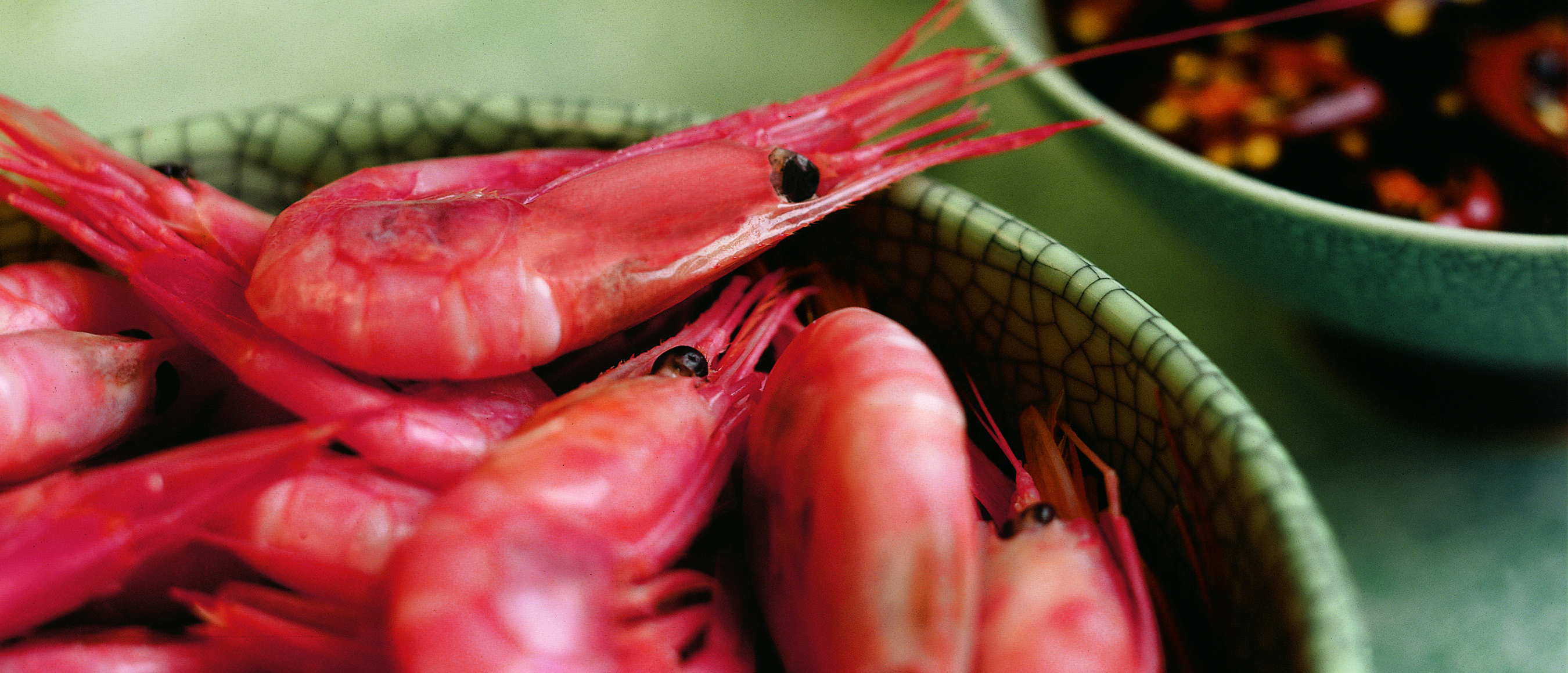 Canadian Cold Water Shrimp - Clearwater