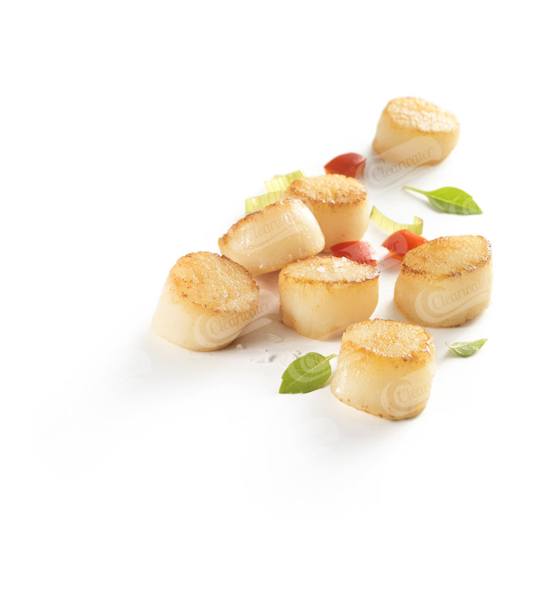 Patagonian Scallops - Clearwater