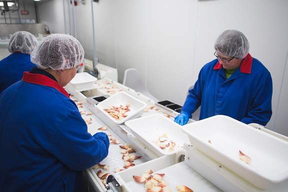 Processing Facilities - Clearwater