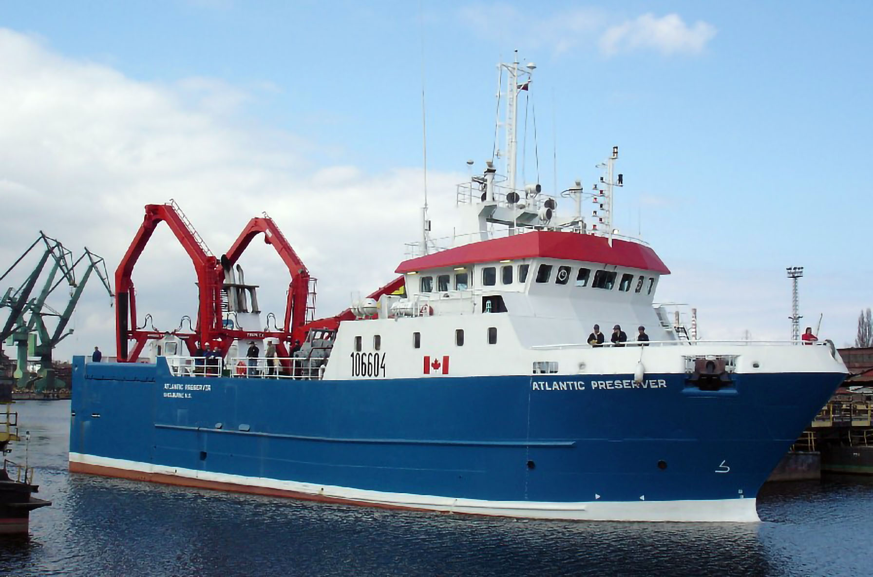 Sea Scallops - Clearwater