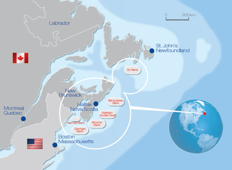 Sea Scallops - Clearwater