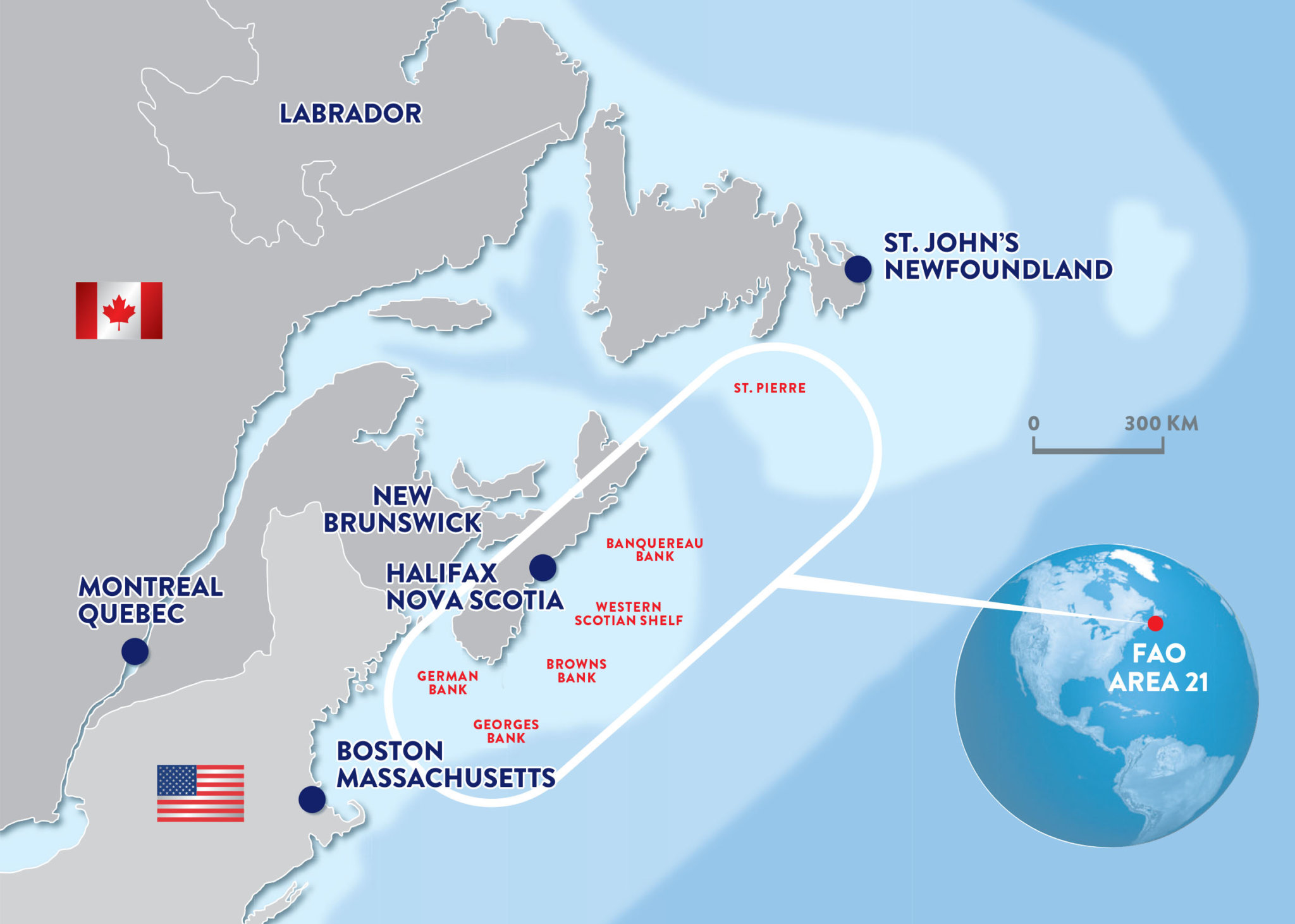 Sea Scallops - Clearwater