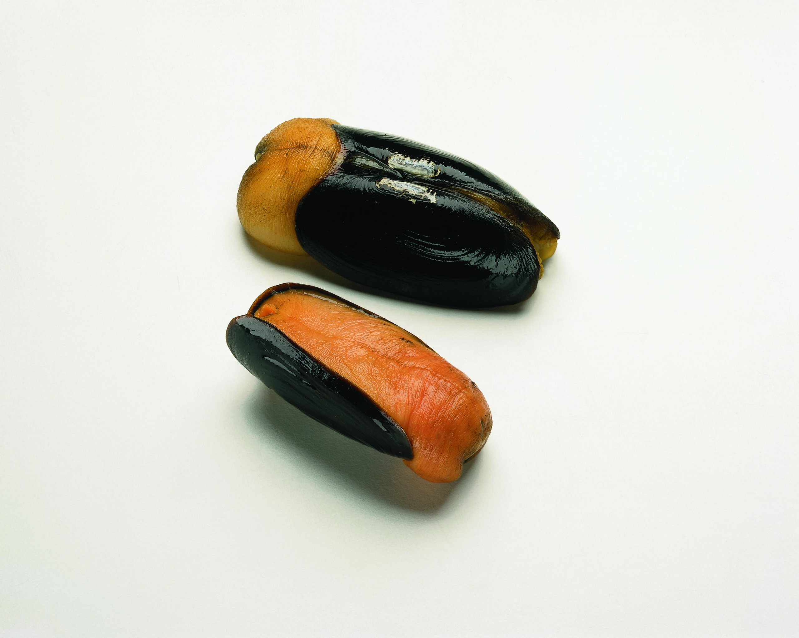 Sales Materials - Clearwater